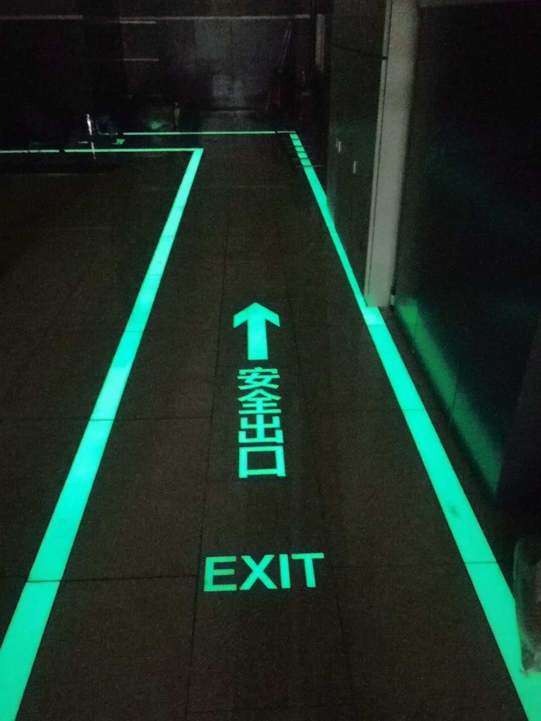 Self*luminous Ground Line Exit Sign in Hydropower Station And Building ...